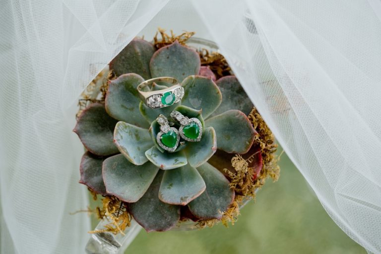 Jorgensen Farm Wedding | New Albany, OH | Shawn and Eliza
